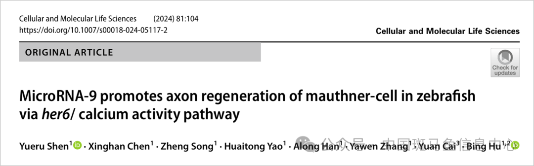 胡兵团队发现miRNA-9可以通过her6/钙激活通路促进斑马鱼毛特纳神经元轴突再生 - 国家水生生物种质资源库国家斑马鱼资源中心 (China Zebrafish Resource Center)
